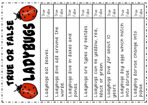 LADYBUGS LIFE CYCLE TEACHING RESOURCES SCIENCE INSECTS MINIBEASTS ...