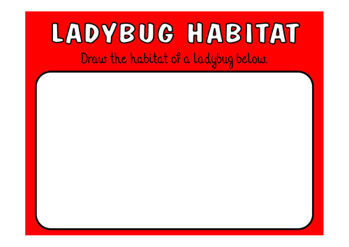 LADYBUGS LIFE CYCLE TEACHING RESOURCES SCIENCE INSECTS MINIBEASTS ...