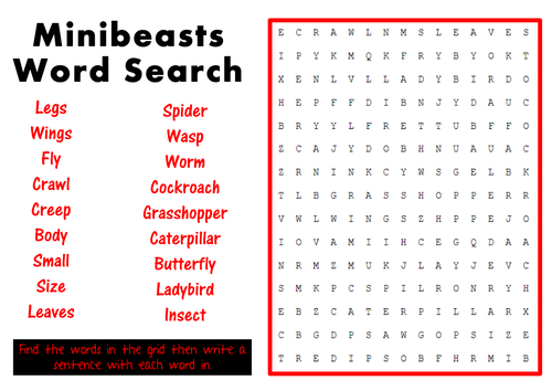 LADYBUGS LIFE CYCLE TEACHING RESOURCES SCIENCE INSECTS MINIBEASTS ...