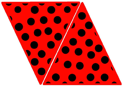 LADYBUGS LIFE CYCLE TEACHING RESOURCES SCIENCE INSECTS MINIBEASTS ...