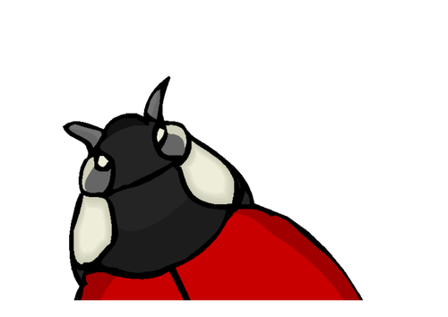 LADYBUGS LIFE CYCLE TEACHING RESOURCES SCIENCE INSECTS MINIBEASTS ...