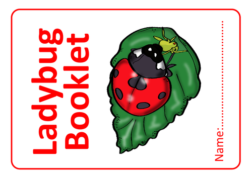 LADYBUGS LIFE CYCLE TEACHING RESOURCES SCIENCE INSECTS MINIBEASTS ...