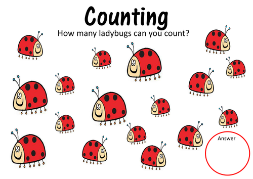 LADYBUGS LIFE CYCLE TEACHING RESOURCES SCIENCE INSECTS MINIBEASTS ...