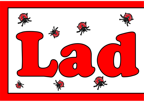 LADYBUGS LIFE CYCLE TEACHING RESOURCES SCIENCE INSECTS MINIBEASTS ...