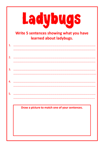 LADYBUGS LIFE CYCLE TEACHING RESOURCES SCIENCE INSECTS MINIBEASTS ...