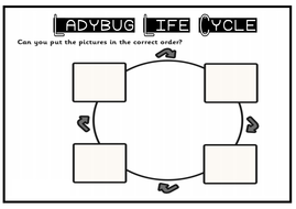 LADYBUGS LIFE CYCLE TEACHING RESOURCES SCIENCE INSECTS MINIBEASTS ...