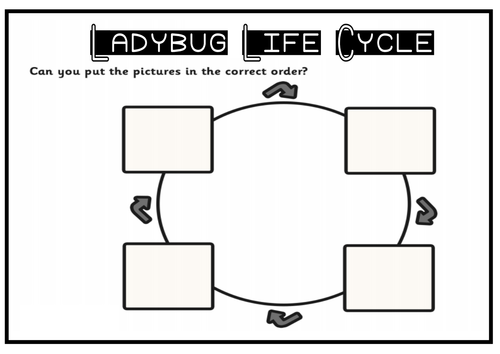 LADYBUGS LIFE CYCLE TEACHING RESOURCES SCIENCE INSECTS MINIBEASTS ...