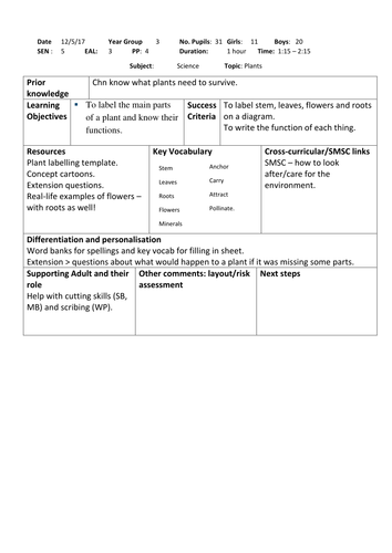 Labelling parts of a plant - Science | Teaching Resources