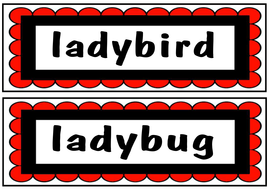 LADYBIRDS LIFE CYCLE TEACHING RESOURCES SCIENCE INSECTS MINIBEASTS ...