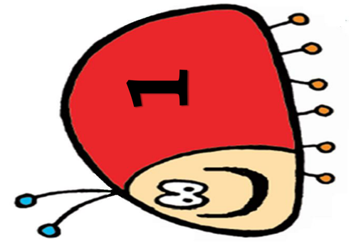 LADYBIRDS LIFE CYCLE TEACHING RESOURCES SCIENCE INSECTS MINIBEASTS ...