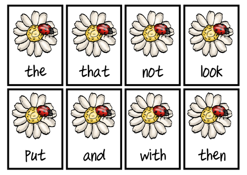 LADYBIRDS LIFE CYCLE TEACHING RESOURCES SCIENCE INSECTS MINIBEASTS ...