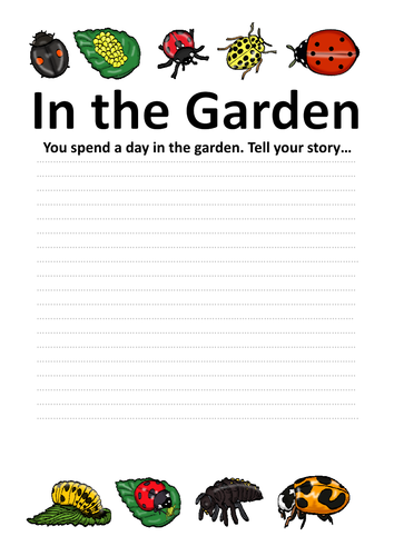 LADYBIRDS LIFE CYCLE TEACHING RESOURCES SCIENCE INSECTS MINIBEASTS ...