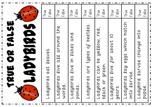 LADYBIRDS LIFE CYCLE TEACHING RESOURCES SCIENCE INSECTS MINIBEASTS ...