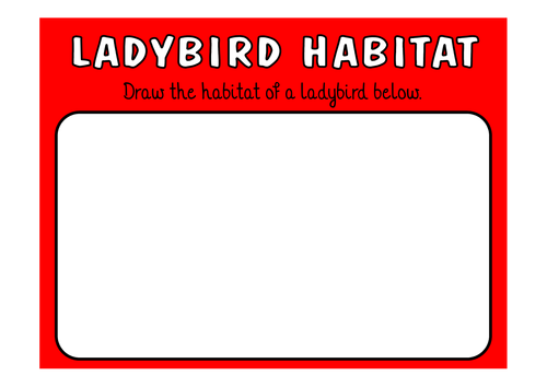 LADYBIRDS LIFE CYCLE TEACHING RESOURCES SCIENCE INSECTS MINIBEASTS ...