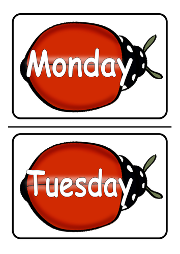 LADYBIRDS LIFE CYCLE TEACHING RESOURCES SCIENCE INSECTS MINIBEASTS ...