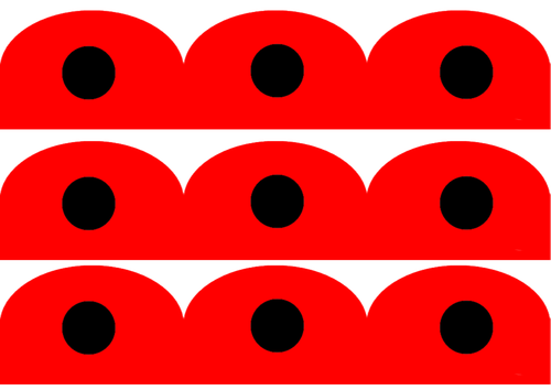 LADYBIRDS LIFE CYCLE TEACHING RESOURCES SCIENCE INSECTS MINIBEASTS ...