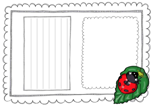 LADYBIRDS LIFE CYCLE TEACHING RESOURCES SCIENCE INSECTS MINIBEASTS ...