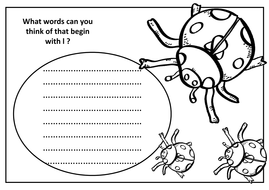 LADYBIRDS LIFE CYCLE TEACHING RESOURCES SCIENCE INSECTS MINIBEASTS ...