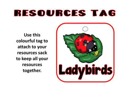 LADYBIRDS LIFE CYCLE TEACHING RESOURCES SCIENCE INSECTS MINIBEASTS ...