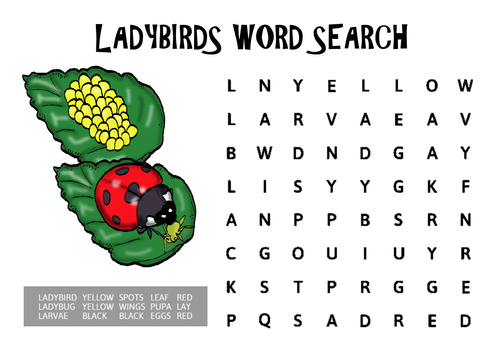 LADYBIRDS LIFE CYCLE TEACHING RESOURCES SCIENCE INSECTS MINIBEASTS ...