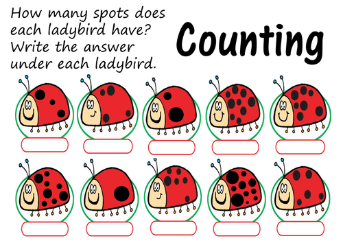 LADYBIRDS LIFE CYCLE TEACHING RESOURCES SCIENCE INSECTS MINIBEASTS ...