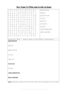 GCSE Word search on Early Elizabethan England Unit 2 | Teaching Resources