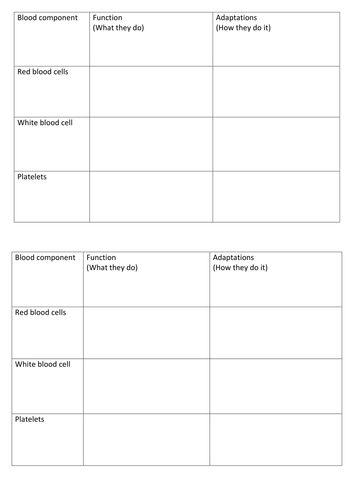 The Blood | Teaching Resources