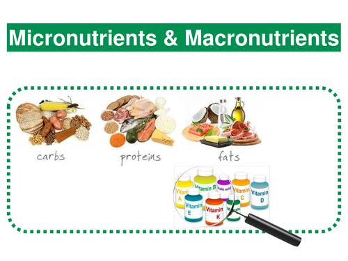 Micro and Macronutrients | Teaching Resources