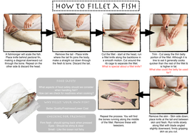 Fish Filleting | Teaching Resources