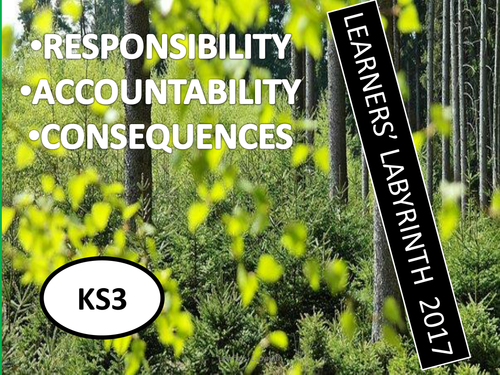 SMSC- PSHE- Being the Best I Can Be | Teaching Resources