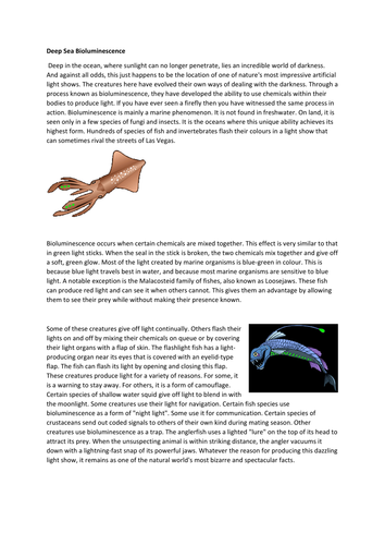 comprehension : deep sea bioluminescence and the firefly squid ...
