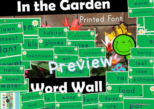 In the Garden Word Wall for EYFS/KS1 | Teaching Resources