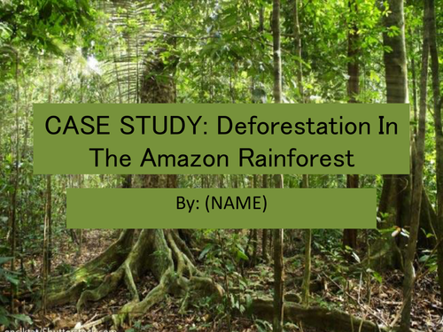 Amazon Rainforest Deforestation Case Study | Teaching Resources