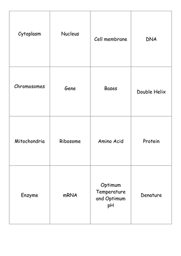 OCR Gateway AMAZING revision cards B1, B2, B3 and B4 - questions and key words ALL YOU NEED FOR ...