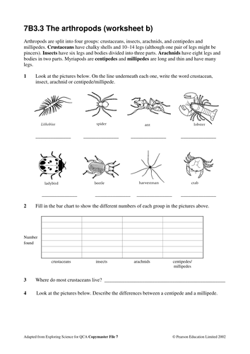 Year 7 Classification Unit | Teaching Resources