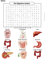 Digestive System Word Search | Teaching Resources