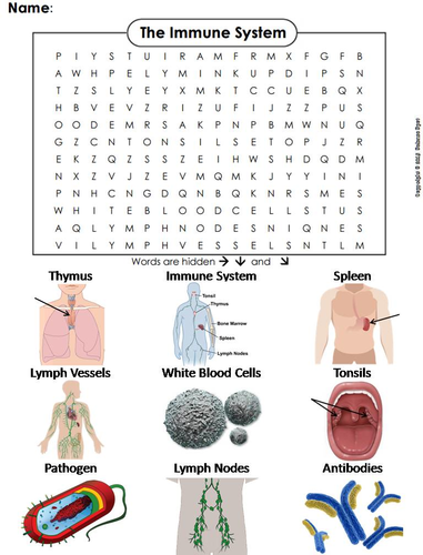 Immune System Word Search | Teaching Resources