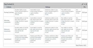 Flag Football Rubric and lesson for upper primary to high school ...