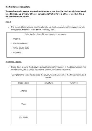 New AQA Biology Cardiovascular system revision. | Teaching Resources
