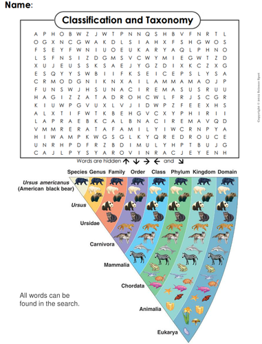 Classification and Taxonomy Word Search | Teaching Resources