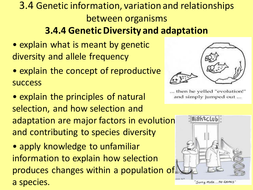 NEW AQA AS BIOLOGY UNIT 4 - GENETIC INFORMATION, VARIATION AND ...
