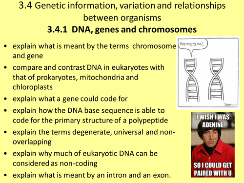 NEW AQA AS BIOLOGY UNIT 4 - GENETIC INFORMATION, VARIATION AND ...