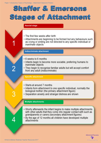 Poster - Attachment - Shaffer & Emerson's Stages of Attachment ...