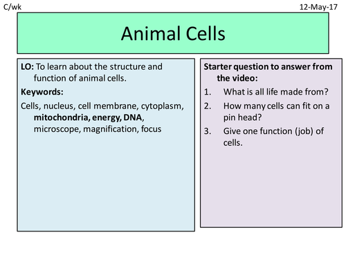 KS3 animals cells and microscopes | Teaching Resources