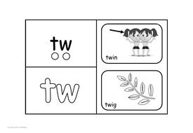 Phonics: Initial Consonant Blend Tw CCVC Words, Presentations, Lesson ...