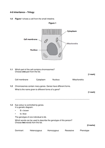 AQA Biology trilogy inheritance end of unit test | Teaching Resources