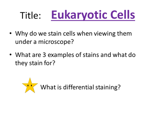 Eukaryotic Cells - OCR AS/A Level Biology | Teaching Resources
