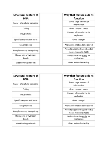 DNA Structure & Properties - OCR AS/A Level Biology | Teaching Resources