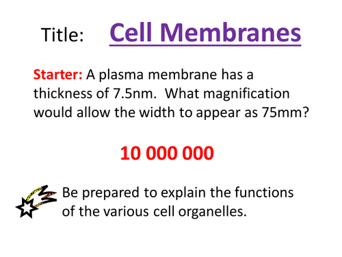 The Plasma Membrane - OCR AS/A Level Biology | Teaching Resources