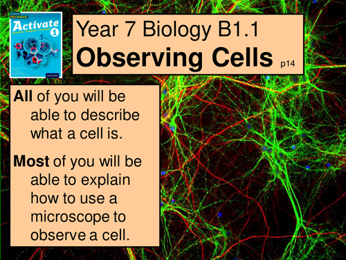 Year 7 Biology B1. 1.1 Cells Scheme of Work Bundle | Teaching Resources